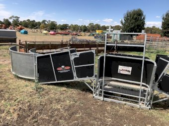 Combi Clamp for Sale Australia | Livestock Handling Equipment | Farm Tender