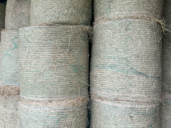 Rhodes Grass Hay for Sale | Lucerne Haylage | Callide Rhodes Hay | Farm ...