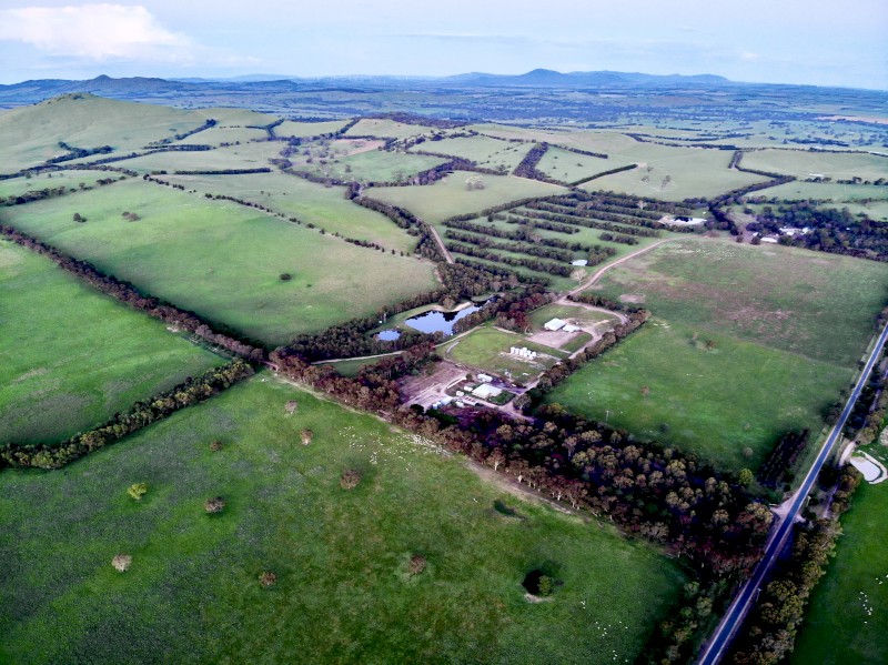Sheep agistment available | Farm Tender