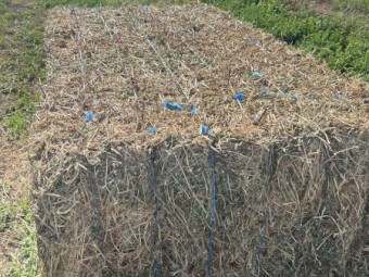 Lucerne Hay for Sale | Lucerne Small Bales Price | Hay & Fodder ...