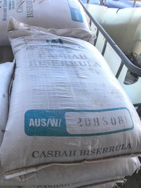 Biserrula Pasture Seed | Farm Tender