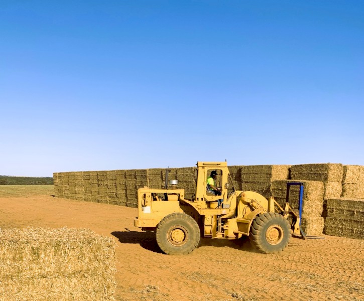 Pea Hay 2023 | Farm Tender