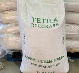 Pasture Seed | Wimmera Annual Ryegrass | Ryegrass Seed for Sale | Farm ...