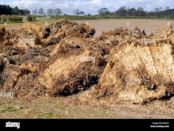 East Gippsland - VIC | For Sale and Wanted Listings | Farm Tender