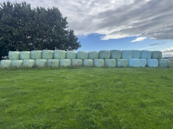 Silage for Sale | Lucerne Silage | Silage Hay & Bales | Pasture Silage ...