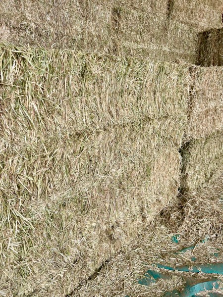 Top Quality Barley Hay | Farm Tender